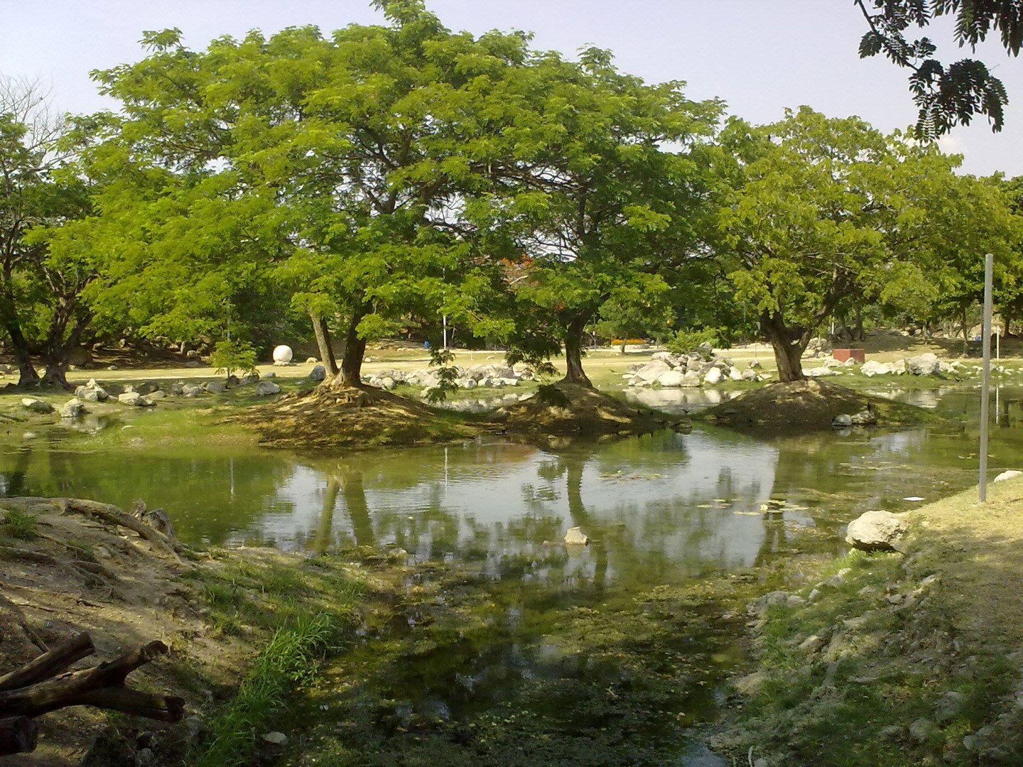 7 Parques fantásticos de la ciudad de Mérida