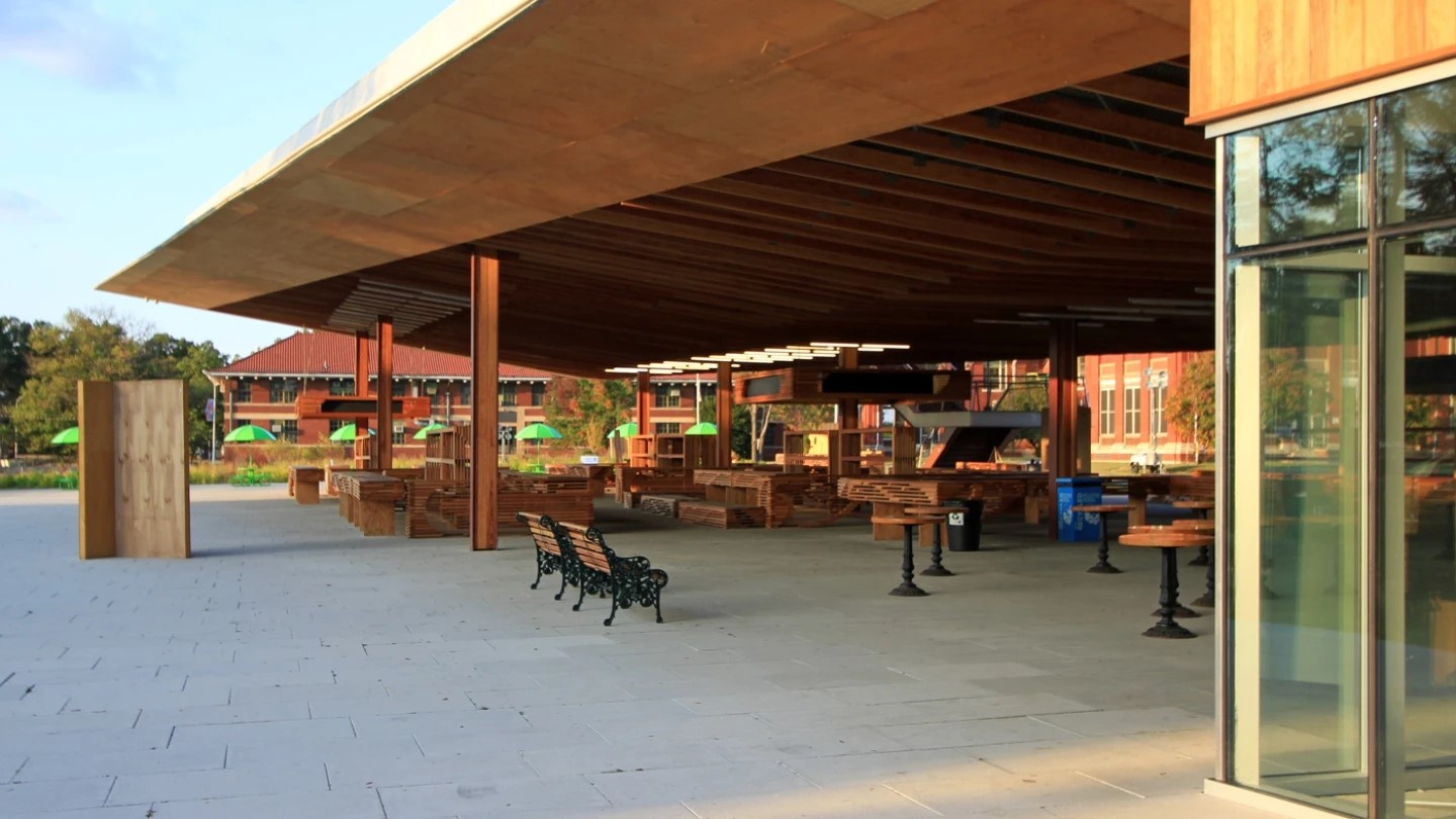 Arquitectura de acero: Pabellón Saint Elizabeths.