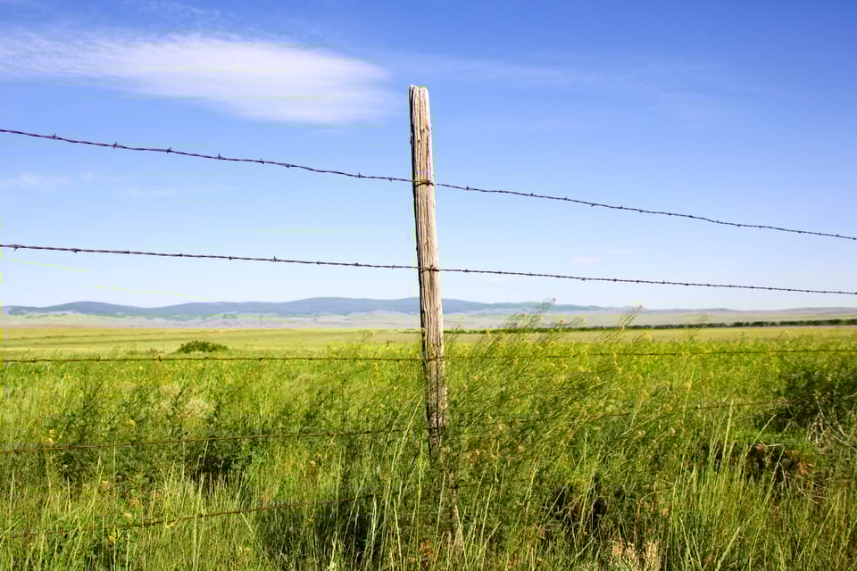 5 Pasos para construir tú mismo una cerca para ganado