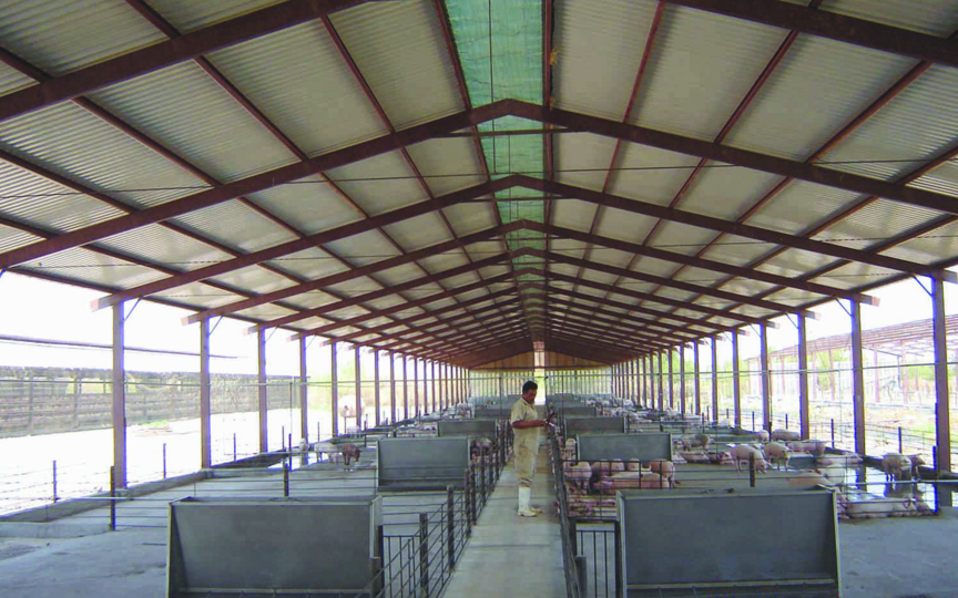 Lamina opaca opalit agrícola