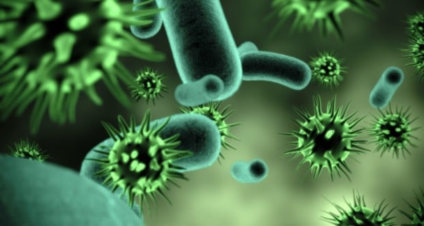 ¿Sabes qué es la contaminación biológica?