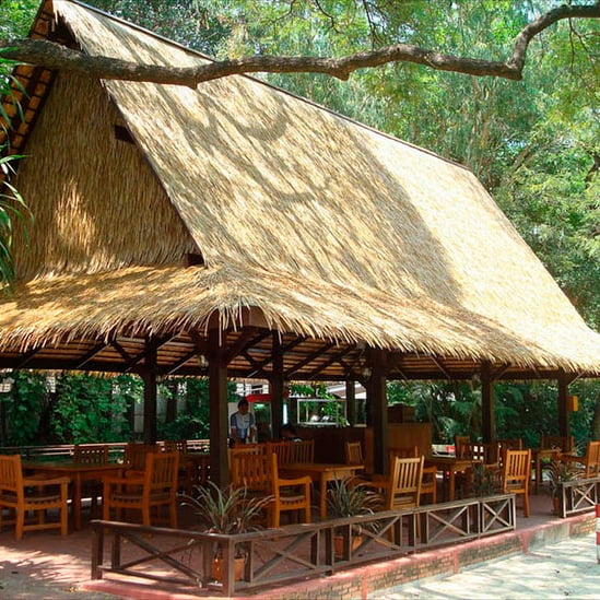 Tendencias para techos.