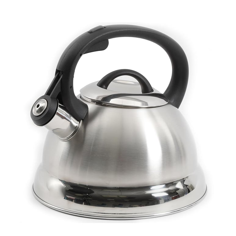 La mejor tetera de acero inoxidable.