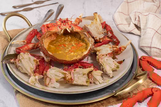 Centolla o Cangrejo de la Nieve.