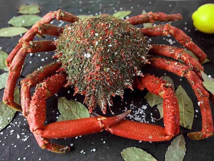 Centolla o Cangrejo de la Nieve.