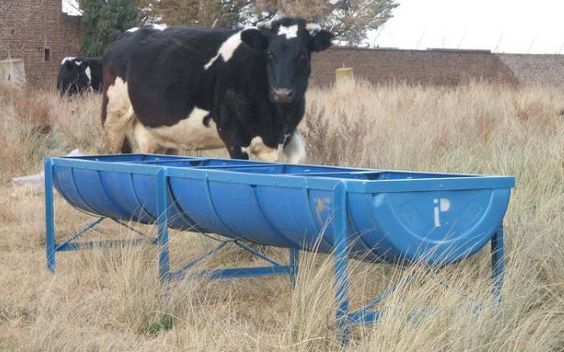 Comederos De Ganado Bovino