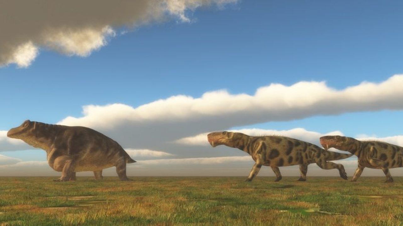 Las 5 extinciones masivas del planeta