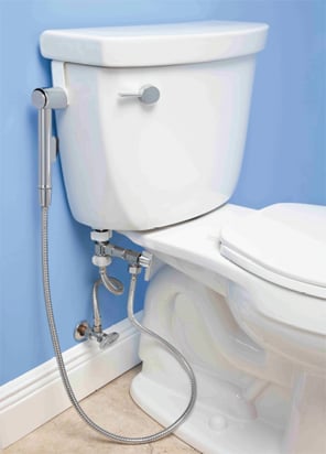 ¿Por qué hay dos inodoros en los baños?